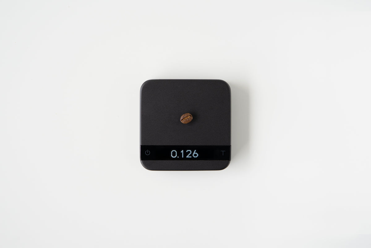 Pyxis Black – acaia